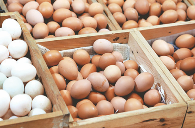 Praktis Kendiri 9.3a - Buku Teks Matematik Tingkatan 4 Bab 9 - SPM ...